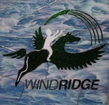Windridge Therapeutic Equestrian Center of East Texas, Inc. | TexVet